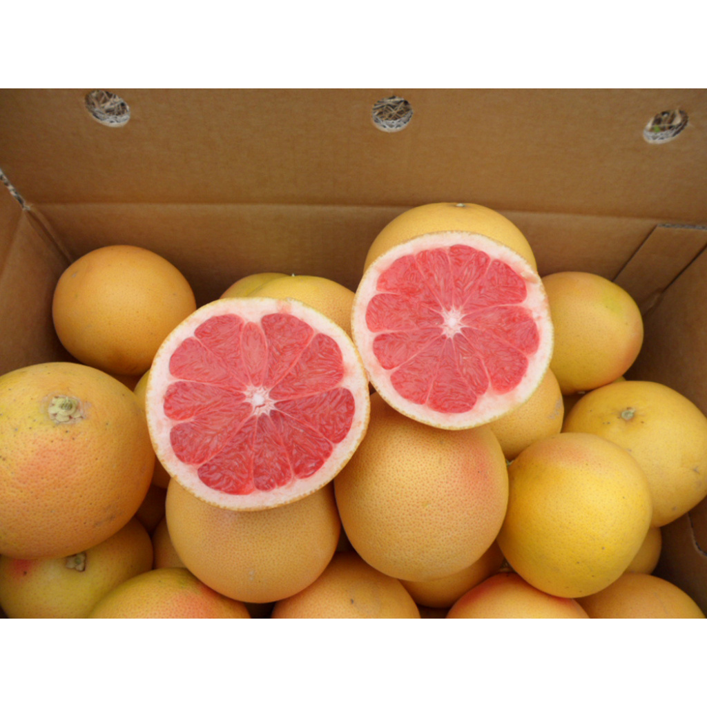 Pomelo Star Ruby 19kg